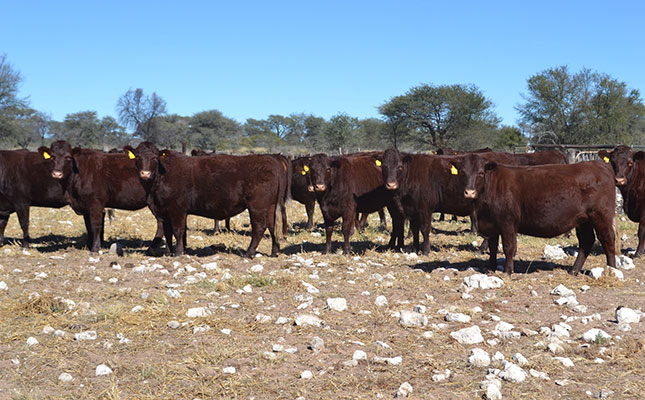 Serious concern about the future of Namibia’s meat export entity ...