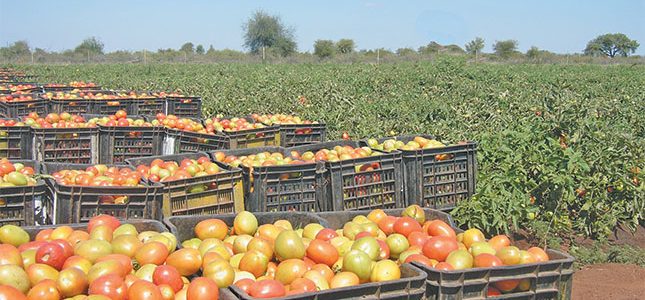 New fresh produce market set to boost Nigerian agri sector - Rosywood ...